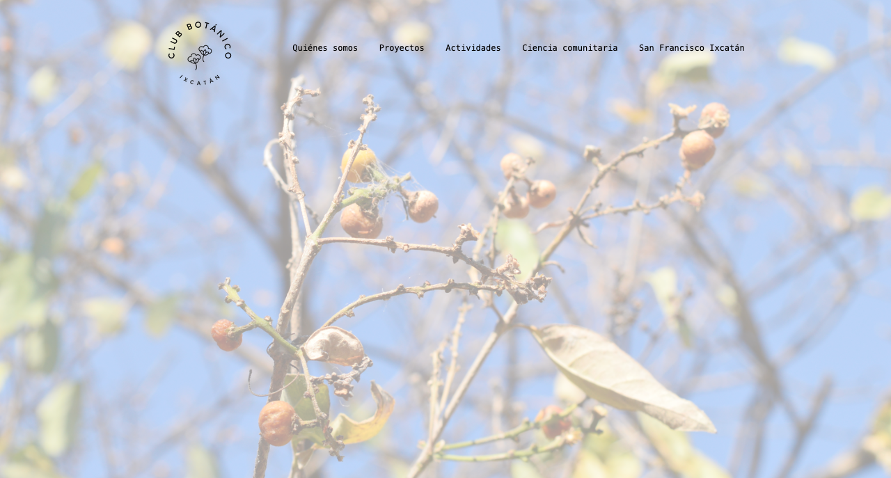 Debra Figueroa · Portafolio